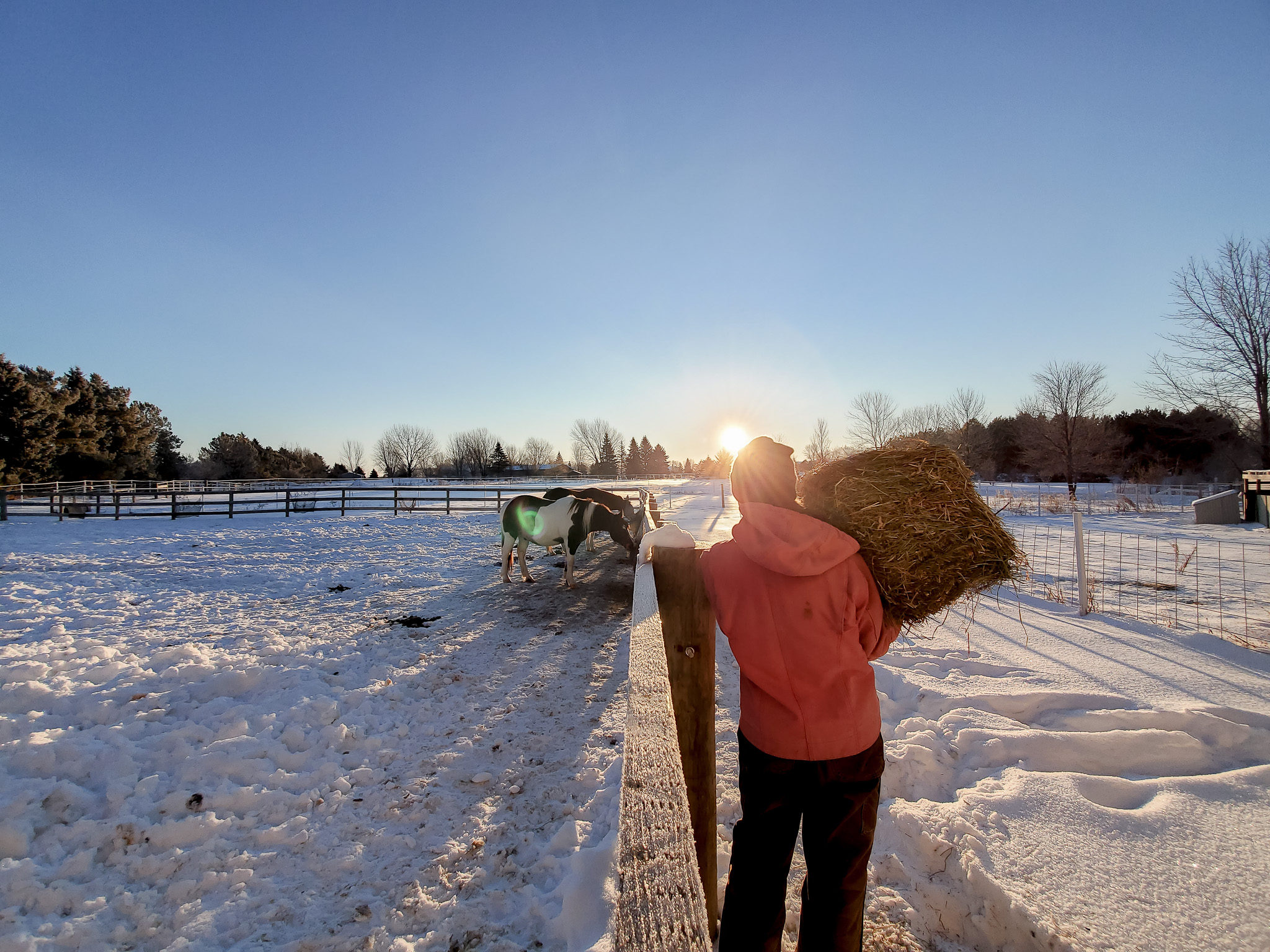 My Winter Chore Routine: Caring for the Animals at Square Root Farms ...